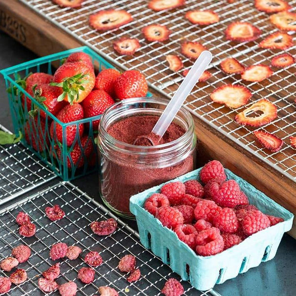 Berry Powder & Chips | Brod & Taylor